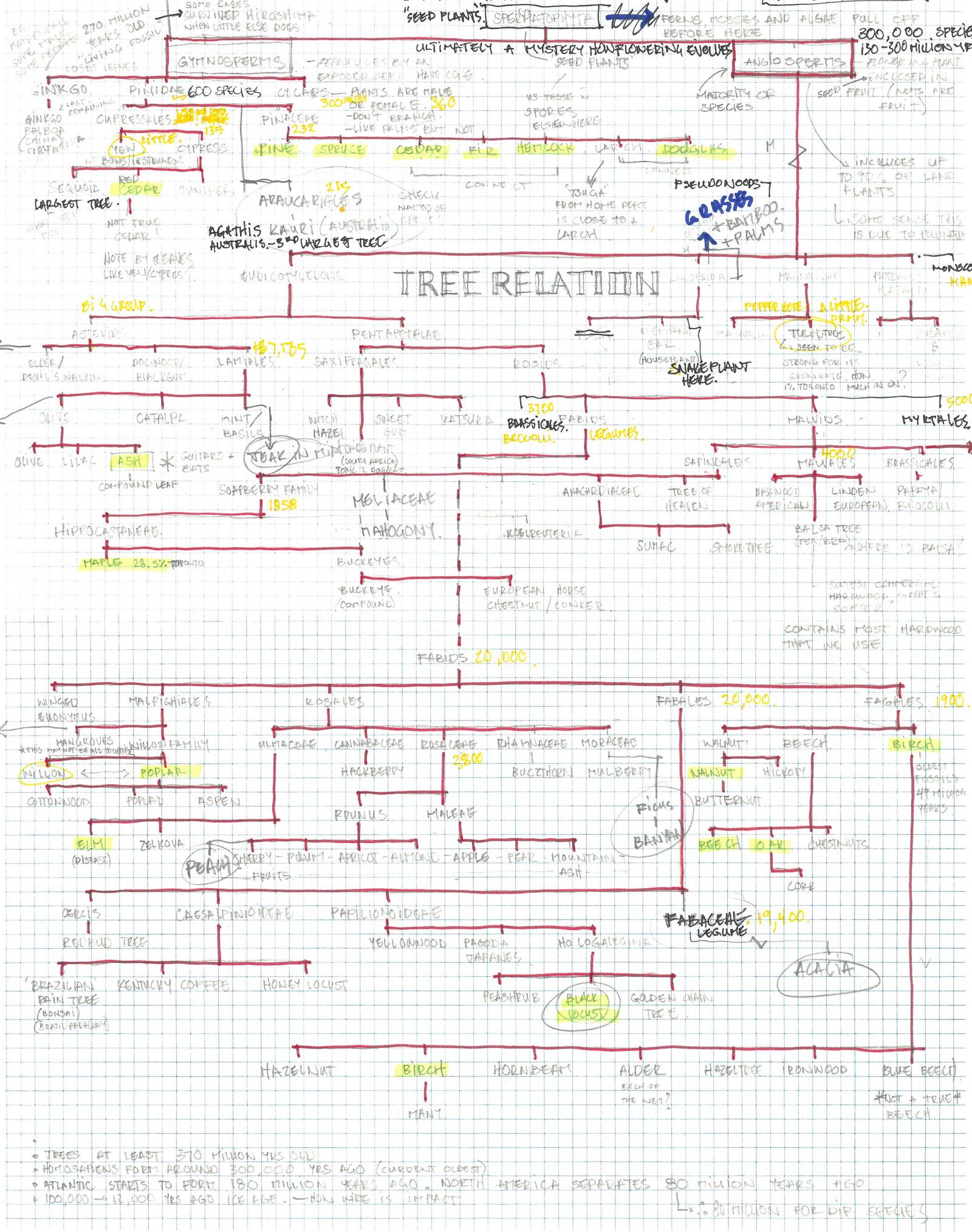 Graph Paper / Zachary Mollica