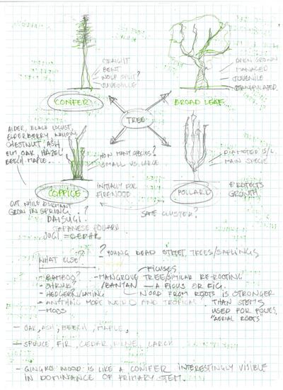Graph Paper / Zachary Mollica