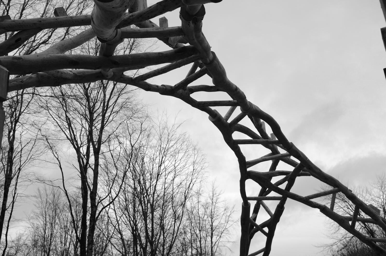 Tree Fork Truss / Zachary Mollica